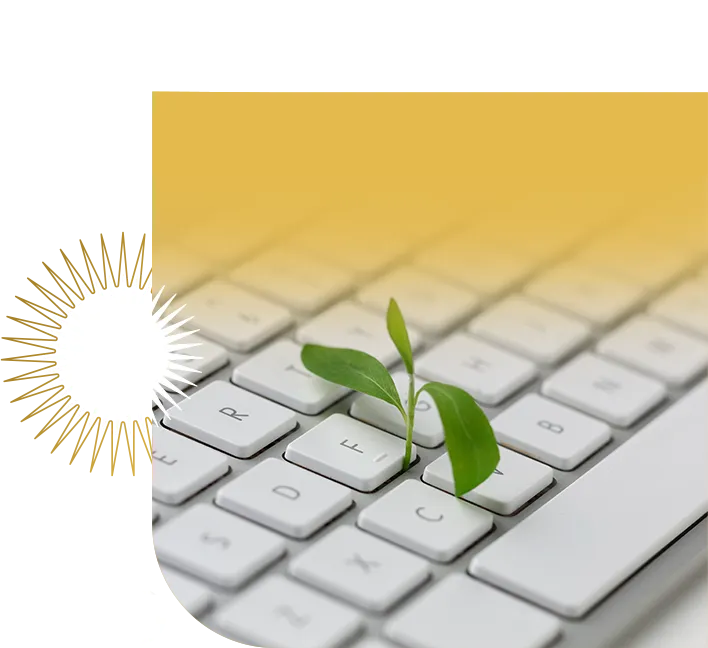 Inscripción | Run Nur